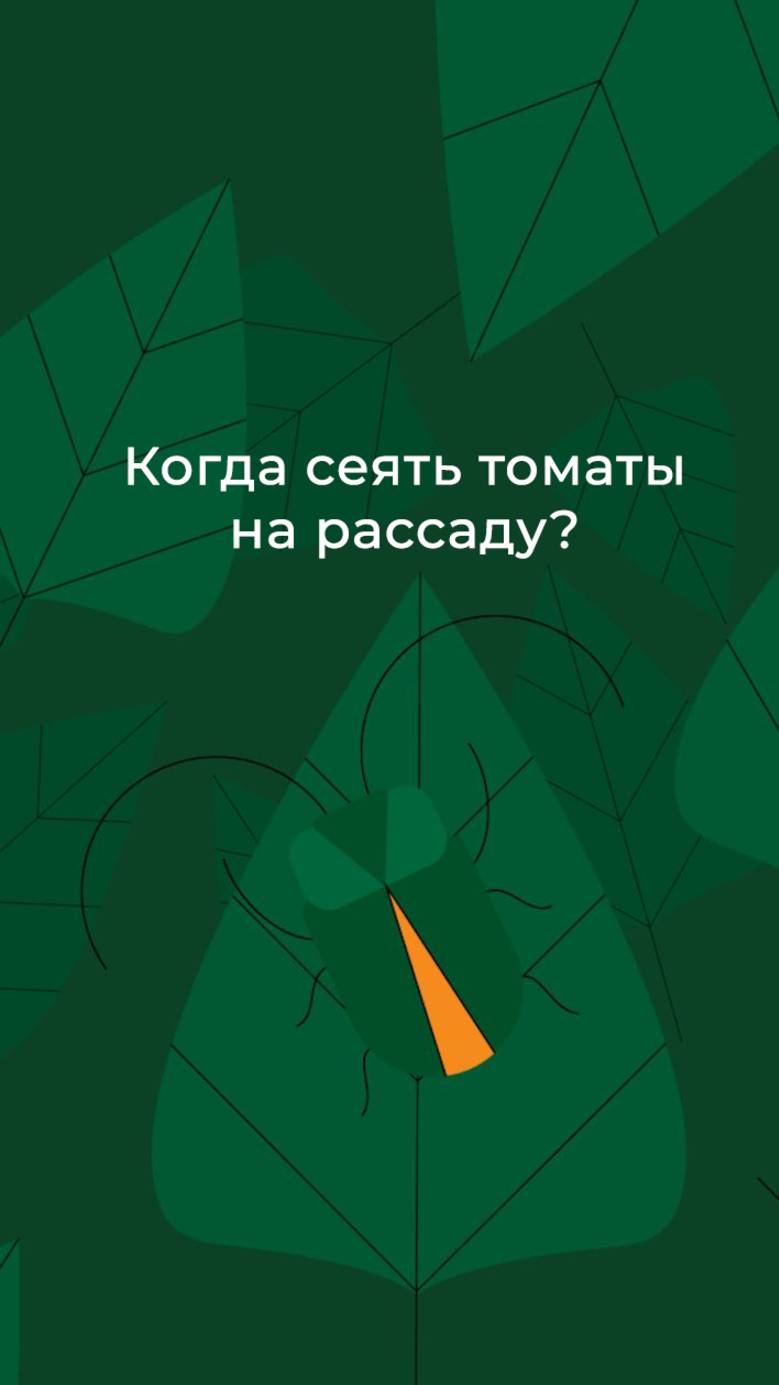 Когда сеять томаты на рассаду?