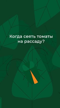 Когда сеять томаты на рассаду?