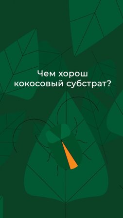 Чем хорош кокосовый субстрат?