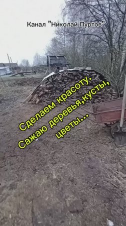 Сделаем мир (территорию у дома) краше🌳☘️🌿