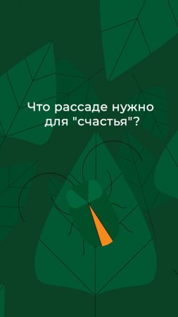 Что рассаде нужно для "счастья"?