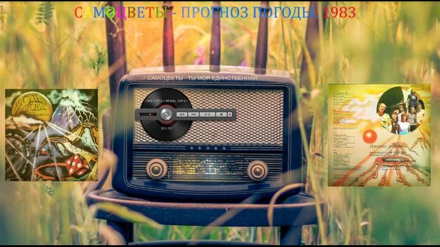 САМОЦВЕТЫ - ПРОГНОЗ ПОГОДЫ. 1983