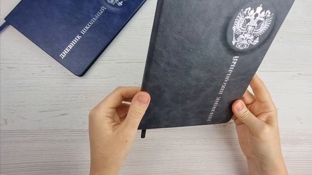 Дневник школьный, формат А5+, 48л., твёрдый переплёт, запаянный край, искусственная кожа, арт.68738