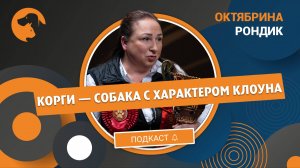 Октябрина Рондик: корги — собака с характером клоуна