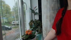 отдых в деревне, жизнь в деревне