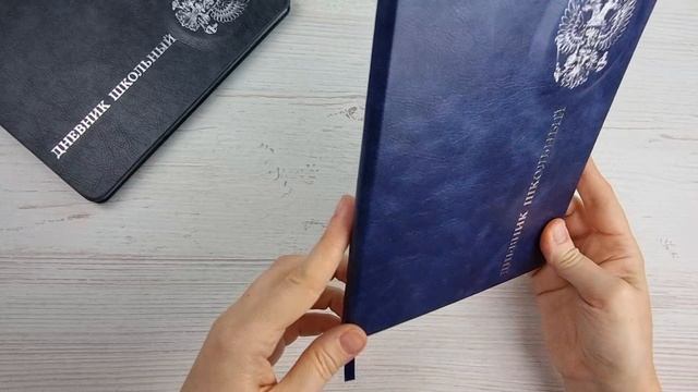 Дневник школьный, формат А5+, 48л., твёрдый переплёт, запаянный край, искусственная кожа, арт.68739
