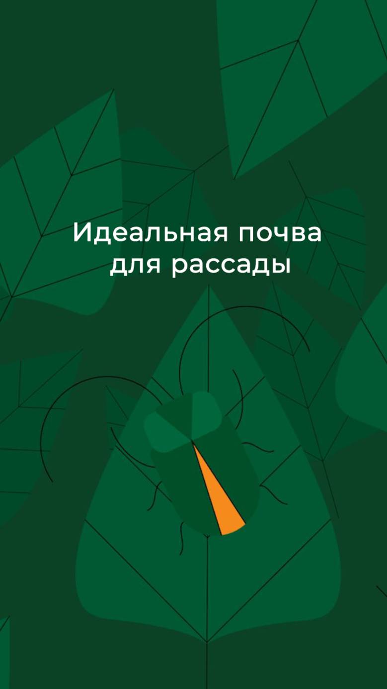 Идеальная почва для рассады