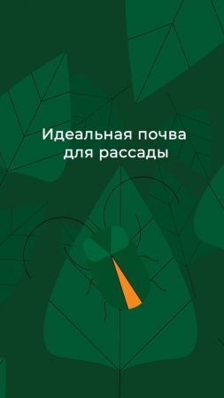 Идеальная почва для рассады
