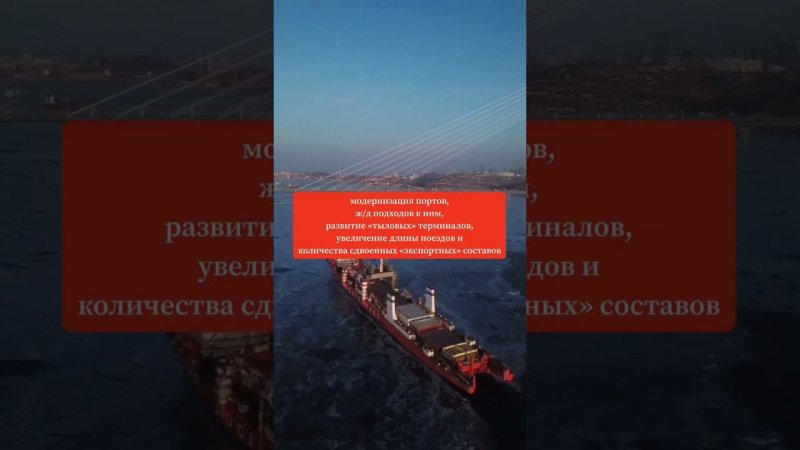 TransRussia 2023 #грузоперевозки #бизнес