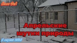 Из Германии в Россию. Проснулись в зимнем королевстве. Зима заглянула на один день и опять весна.