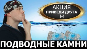 Подводные камни акции "Приведи друга" у брокеров | Информация для трейдеров и инвесторов