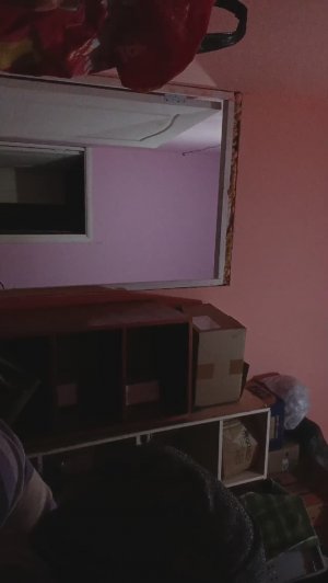 голые попки