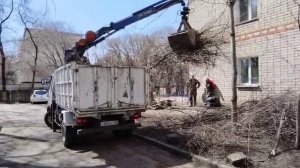 Зейская 190 санитарная обрезка и вывоз WhatsApp Video 2025-04-26 at 08.23.26