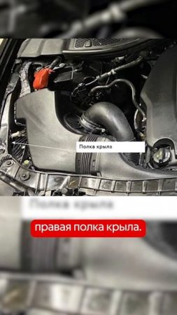 «Чуть-чуть царапина и всё»
