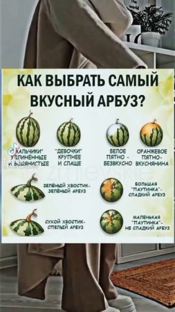 Теперь ты знаешь #shorts #ютуб #прикол #мем #мемы #юмор #funny #смех