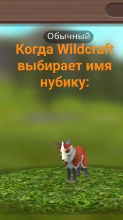 Когда Wildcraft выбирает имя нубику: #wildcraft #актив #врек #прикол #кринж #я