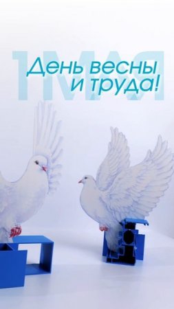 С Праздником Весны и Труда! 🕊️