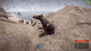 Волк чёт приуныл (Rust #3)