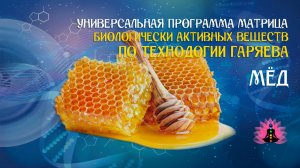 Мёд 🔊 программа матрица по технологии Гаряева П.П ☀️ SoftRadio.ru