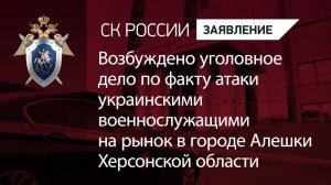 Возбуждено уголовное дело по факту атаки украинскими военнослужащими на рынок в городе Алешки