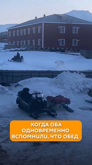 Когда оба одновременно вспомнили, что обед