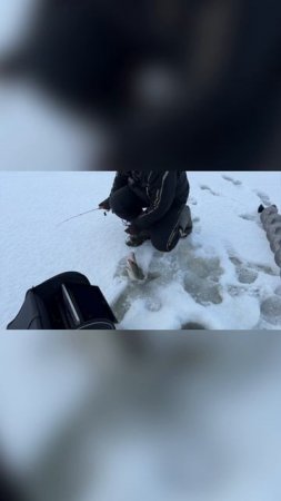 Готовлю новый ролик с Горьковского водохранилища✊