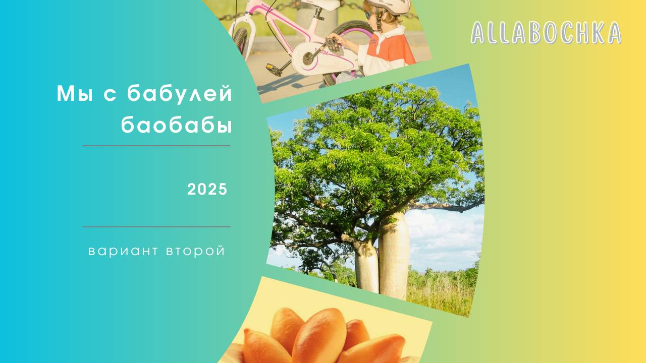 Мы с бабулей баобабы. Вариант 2
