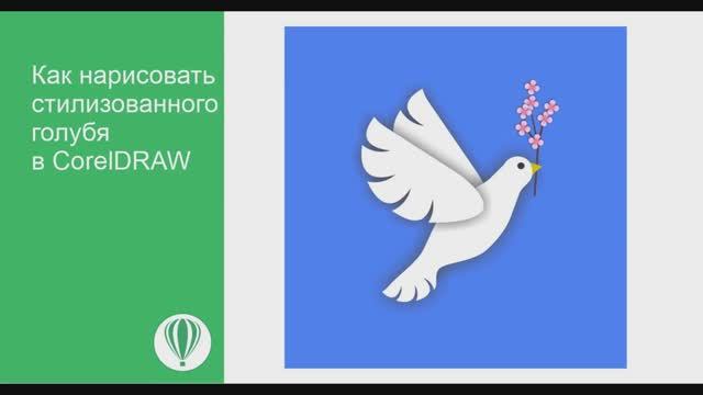 Как рисовать голубя в CorelDRAW