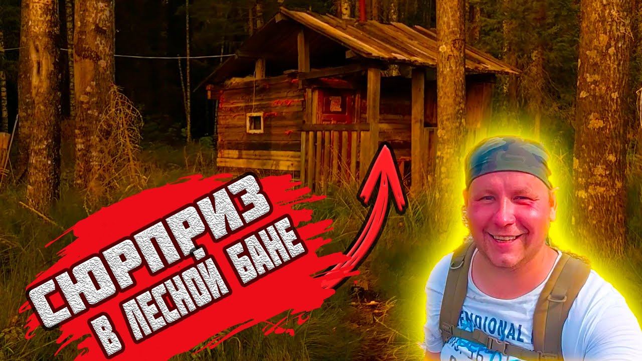 СЮРПРИЗ В ЛЕСНОЙ БАНЕ! ЛЮТЫЙ СТОРОЖ В ИЗБЕ И БЕЛАЯ ДОРОГА. ПОХОД ПО ЛЕСНЫМ ИЗБАМ ЧАСТЬ 2