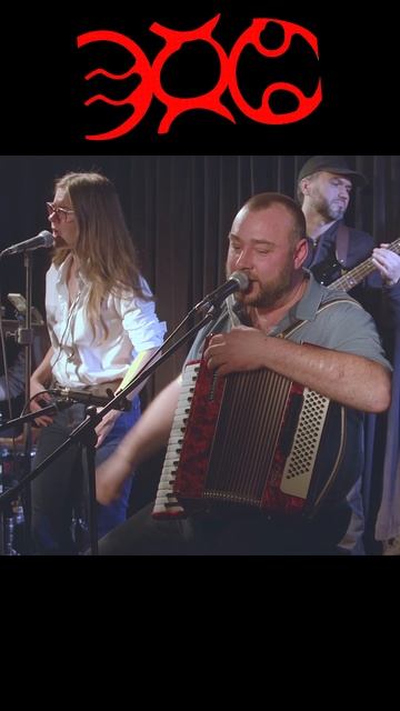 Дрожь Ehomusic #shorts #ehomusic #дрожь #концерт #живоевыступление