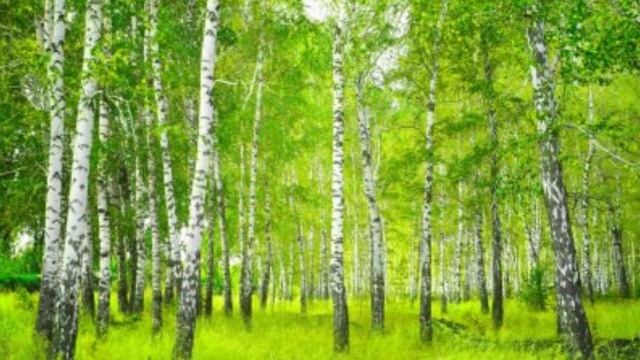 Там где Россия хит 2020 новая  песня