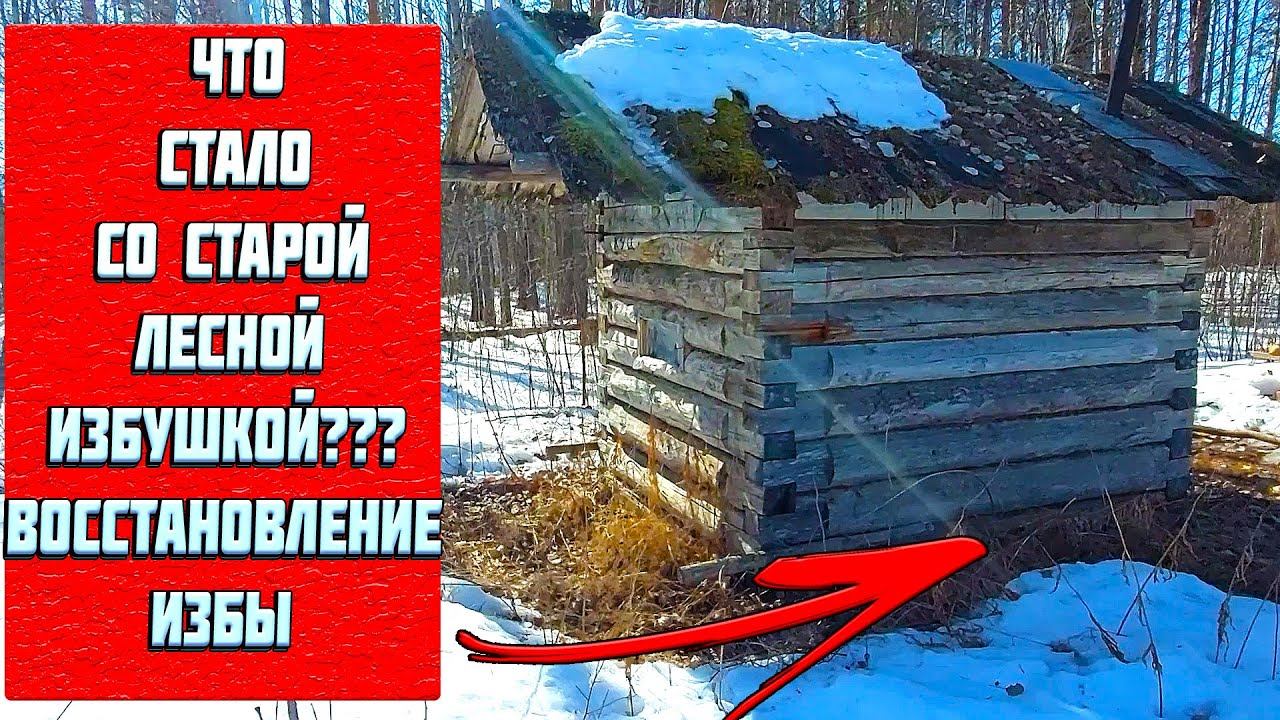 ЧТО МЫ СДЕЛАЛИ СО СТАРОЙ ЛЕСНОЙ ИЗБУШКОЙ С ГНИЛОЙ КРЫШЕЙ? РЕМОНТ ИЗБЫ ОТ НАЧАЛА ДО ЗИМЫ 2025.