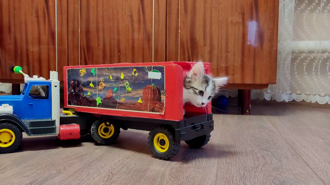 Котята играют с детскими игрушками 1. Мама-кошка и ее котята.