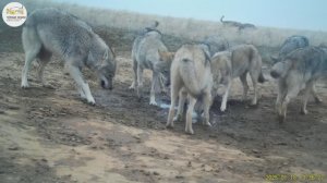 Приоткрывая заповедные двери… Пей до дна!