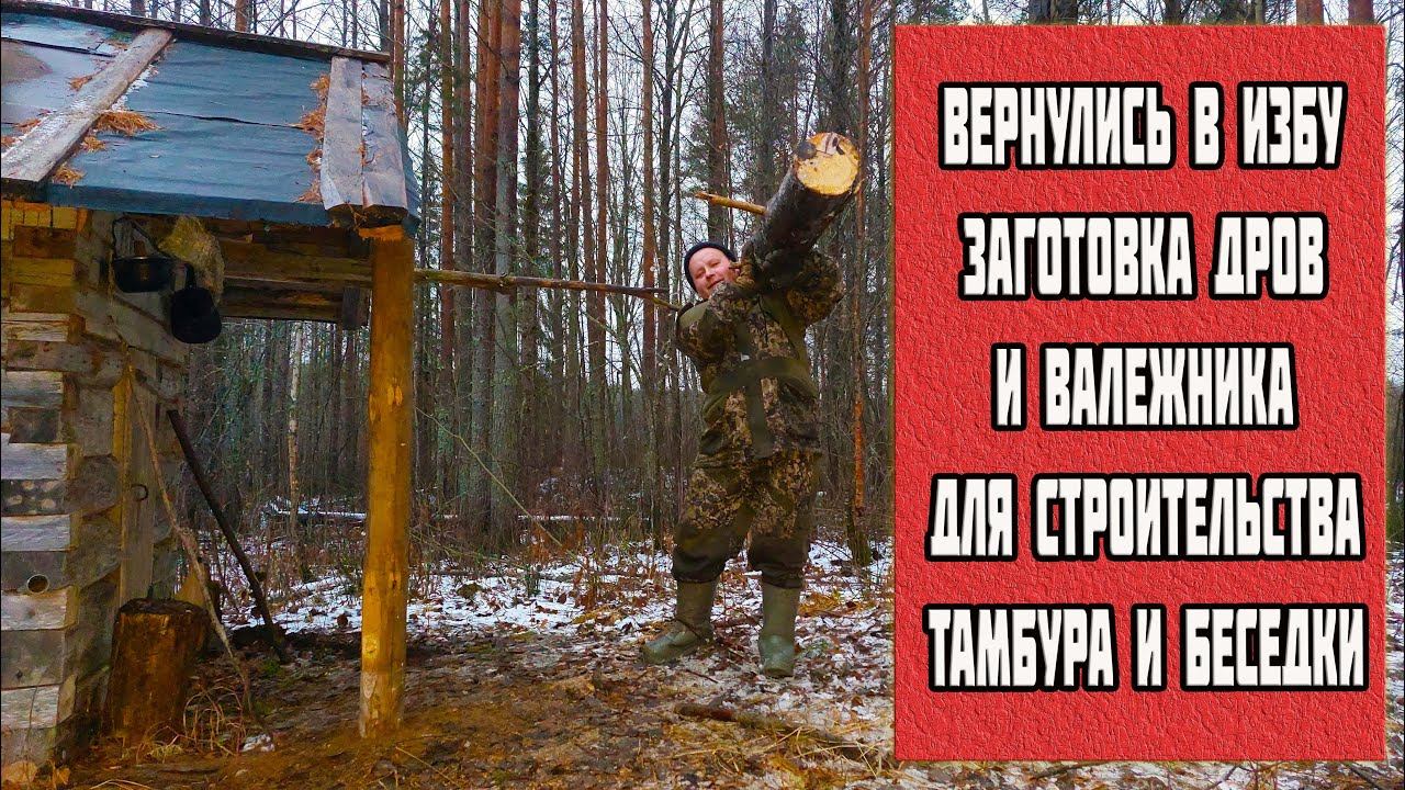 ВЕРНУЛИСЬ В ИЗБУ. ЗАГОТОВКА ДРОВ И ВАЛЕЖНИКА ДЛЯ СТРОИТЕЛЬСТВА ТАМБУРА И БЕСЕДКИ