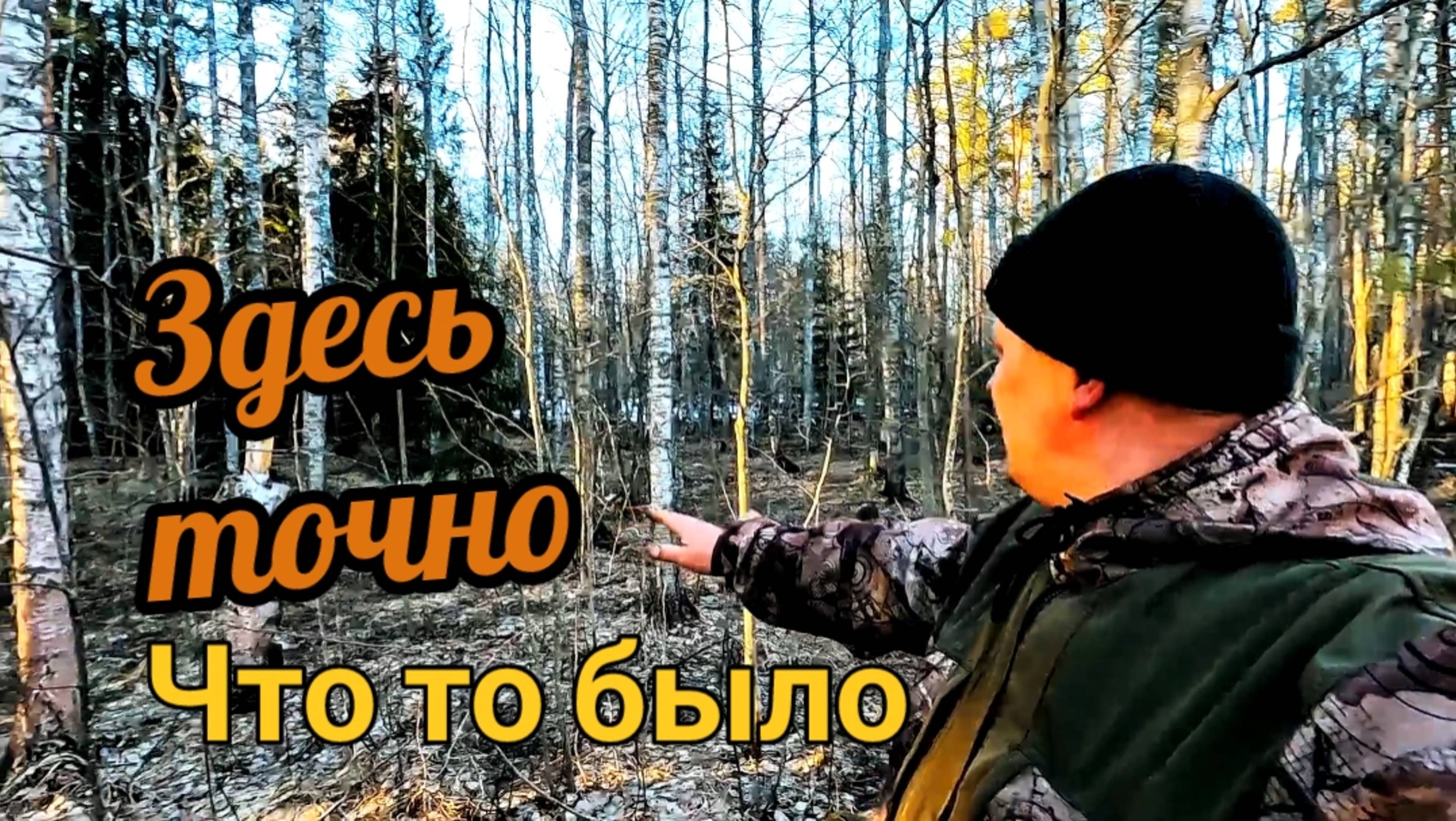 Разведка. Металл в этом лесу-должен быть!
