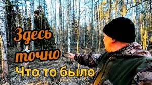 Разведка. Металл в этом лесу-должен быть!