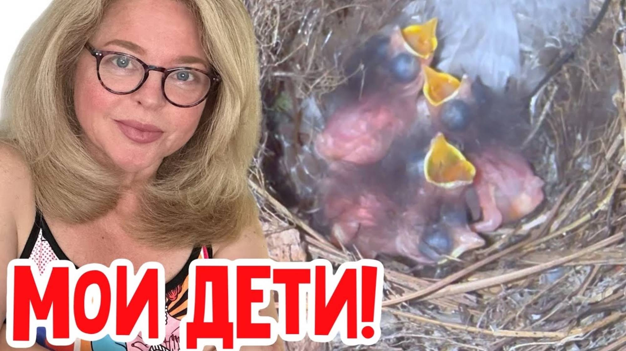 Наталья Фальконе. Одни волнения да и только!!!