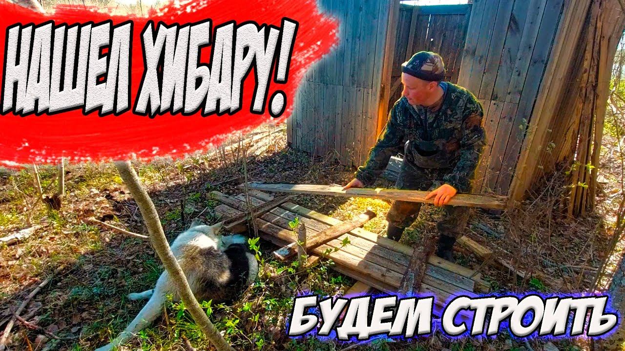 НАШЕЛ НЕДОСТРОЕННУЮ ХИБАРУ В ЛЕСУ! БУДЕМ СТРОИТЬ?! ПЕРВЫЙ ВЕСЕННИЙ ПОХОД С ПЕСЕЛЕМ!