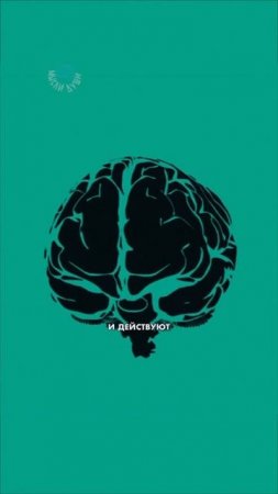 💖Слова - это команда для нашей реальности