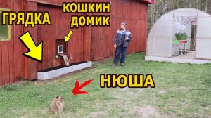 Эксклюзивная грядка для кошек!