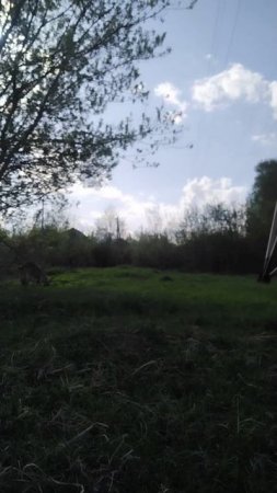 Маленькая деревня в городе.