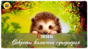 🏆 Ежик: секреты колючего супергероя | Познавательное видео для детей