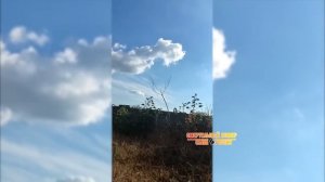 Марьинка, разведка боем | Совместно с ДШРГ «РУСИЧ»