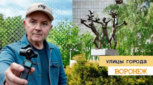 Улицы Воронежа, Средне-Московская и Пушкинская