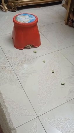 «Разумный» код уже ползает по кухне, сколько осталось времени, когда он перепишет ваш бизнес-план?