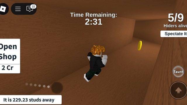 Играю в экстрим прятки