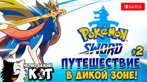Pokemon Sword: Путешествие в дикой зоне!