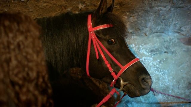 Ветреный 1 сезон 2 серия (сериал, 2019)