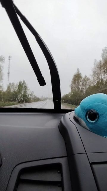 Держим путь на дачу 🙌 первое мая и такой снежок 🫶
